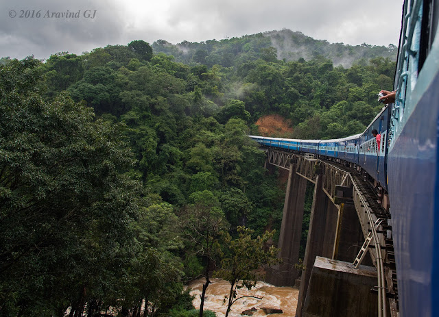 Revisiting green route trail - Treks and Travels Revisiting green route trail - Treks and Travels