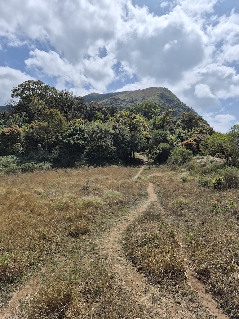 Nishani Motte Trek - Kodagu - Treks and Travels