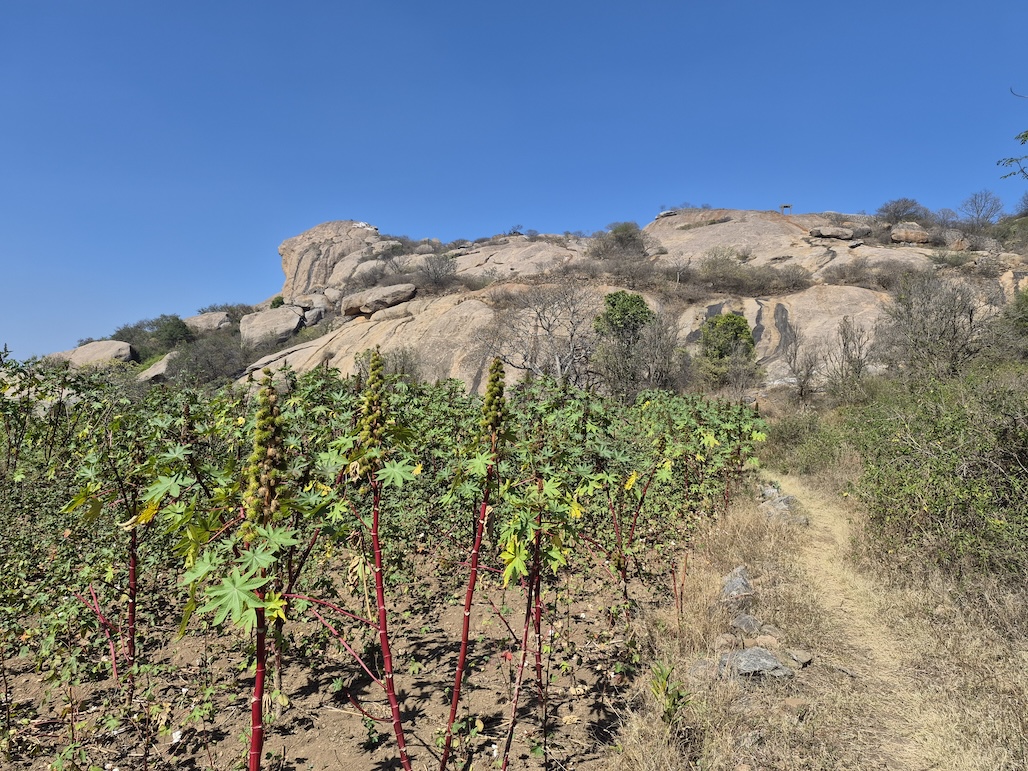 Virabhadra Durga Fort Trek – A Simple Hike Through History - Treks and ...